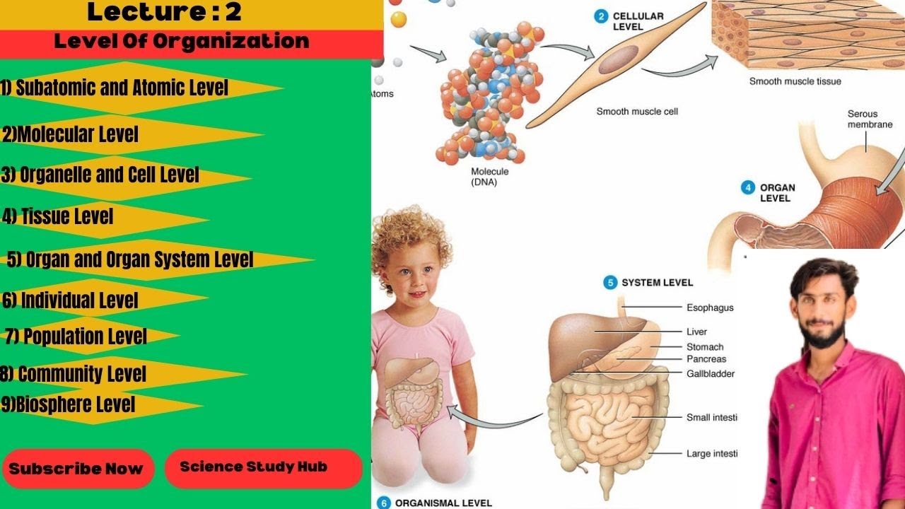 Levels of Biological Organization | Biology Class 9th | Chapter 1 ...