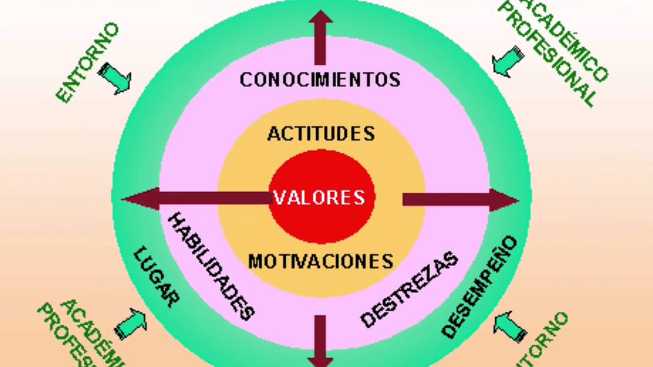 Competencias Genéricas Y Específicas - YouTube