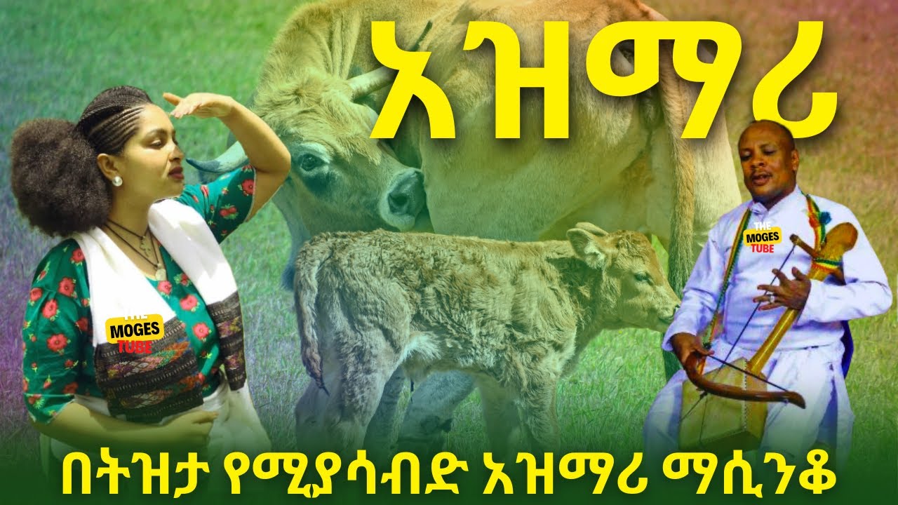 Ethiopia: ምርጥ የትዝታ አዝማሪ ማሲንቆ - Abebe Kassie ፋኖ Fano - Best Ethiopian ...