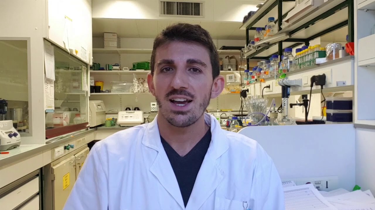 Master Programme in Molecular Biology and Genetics - Riccardo - YouTube