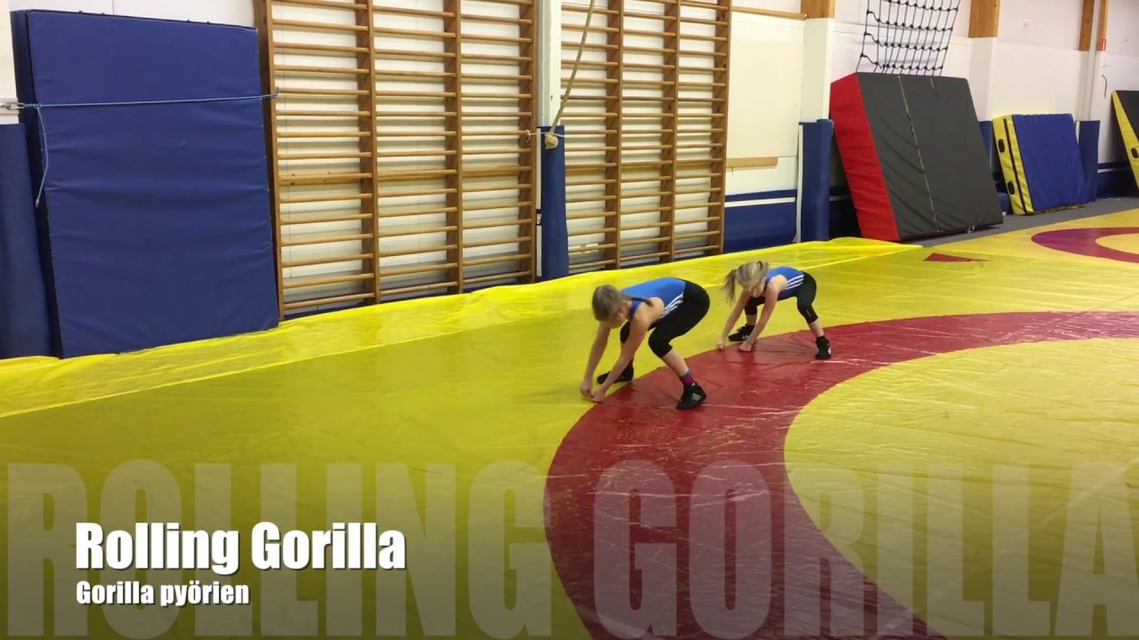 Animal movements - Rolling Gorilla - YouTube