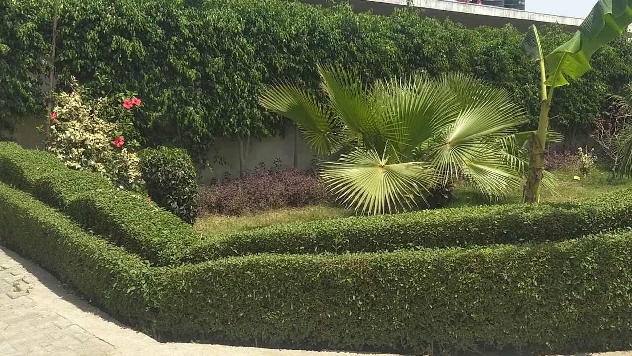 Farm house(Dixit farm house) Agra road U.P - YouTube