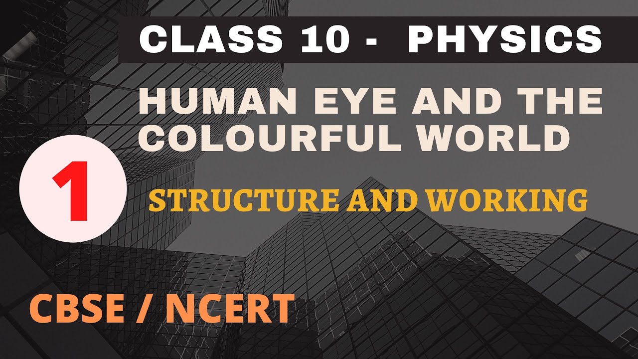 Human Eye and The Colourful World 01 | Human Eye | Construction and ...