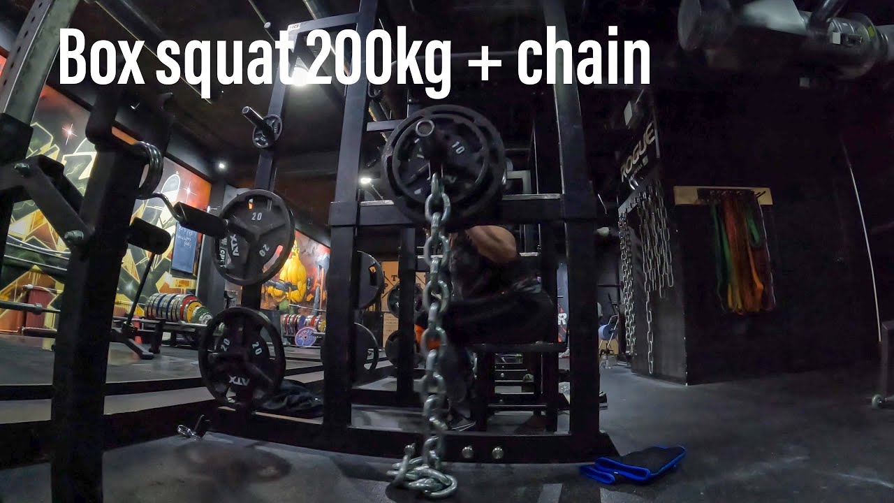 Box squat 200kg + chains workout - YouTube