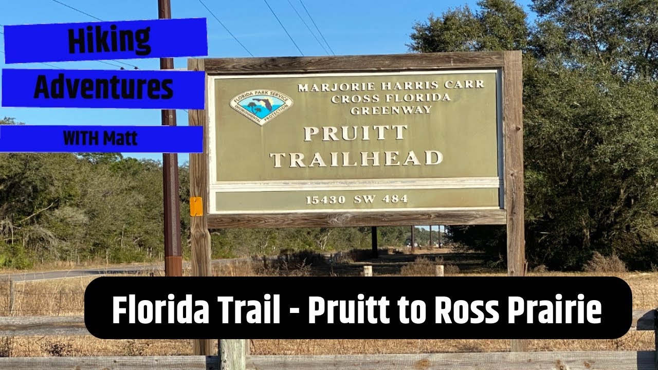 Florida Trail - Pruitt to Ross Prairie - YouTube