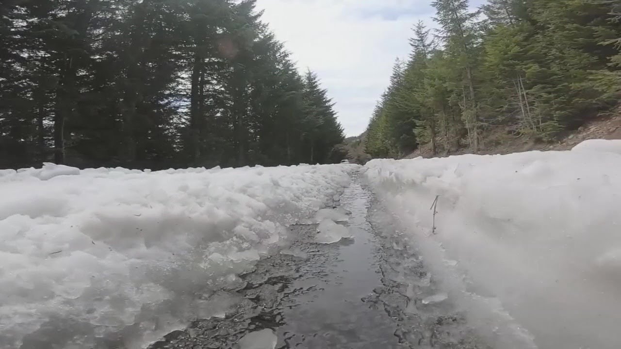 Gresham woman, mother located safe after getting stuck in snow on Mt ...