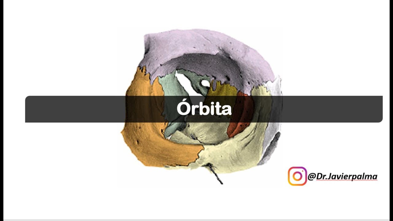 órbita I - YouTube