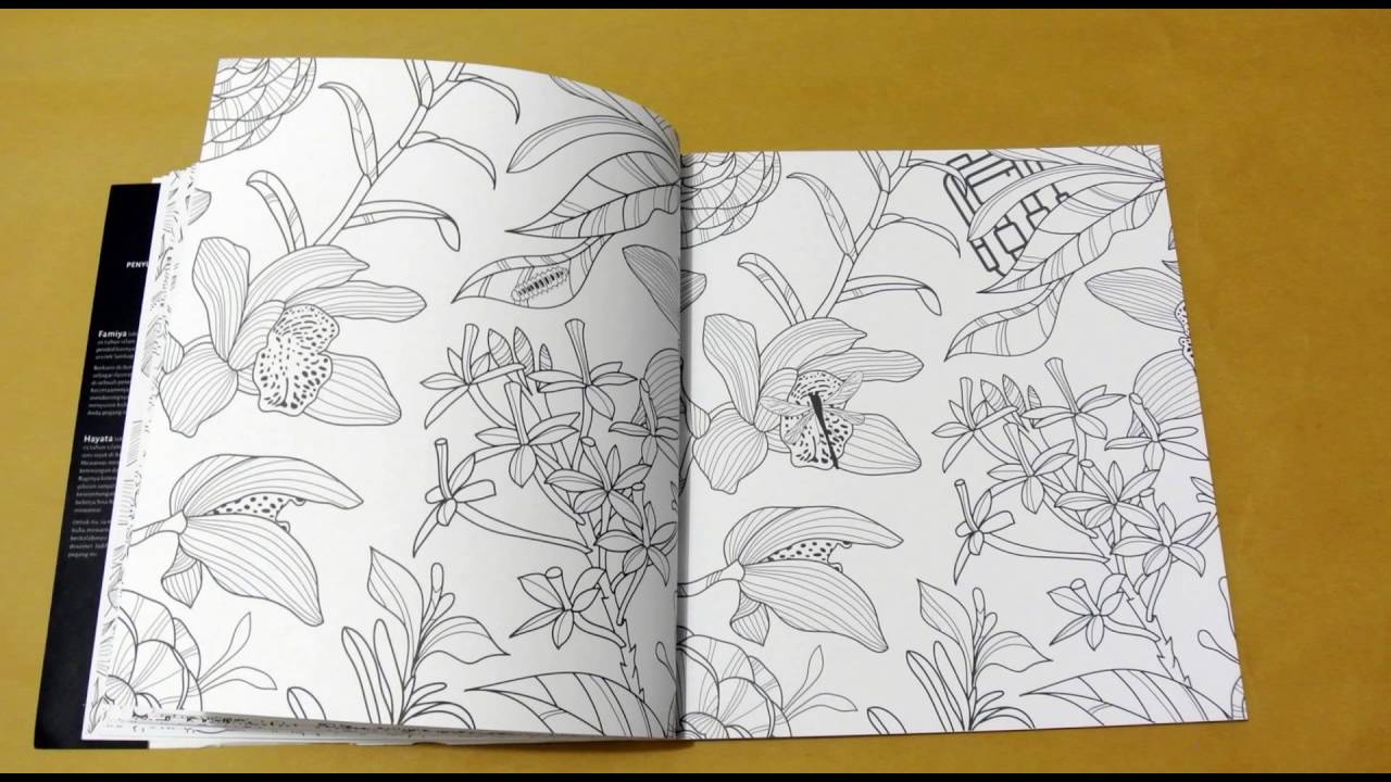 Forbidden Forest Coloring Book - YouTube