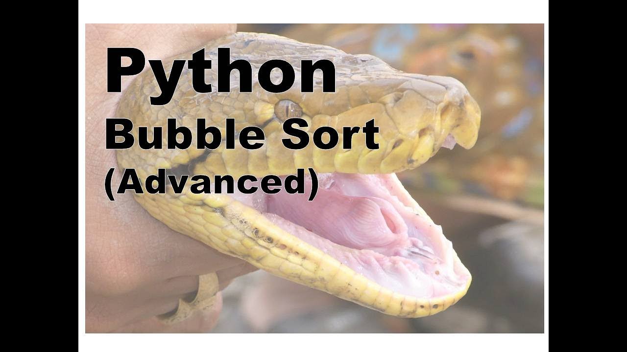 601 Python Bubble Sort Efficient Youtube