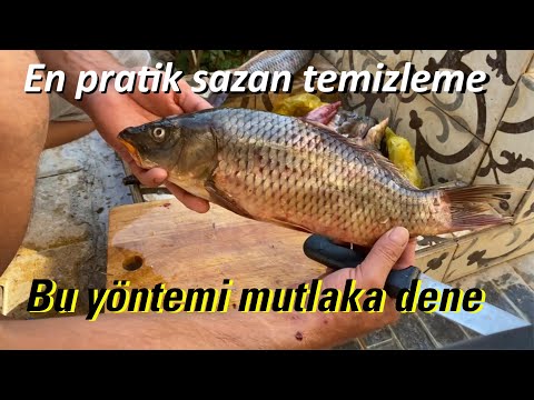 Sazan Balığı Nasıl Temizlenir? Nasıl Pişirilir? How to clean and cook carp.