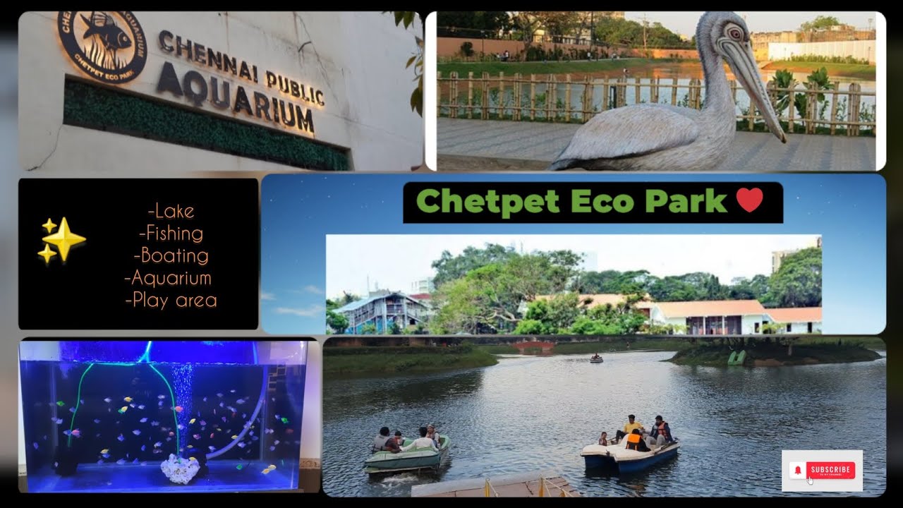 ️Chetpet Eco Park vlog #ecopark #vlog #budgetfriendly - YouTube