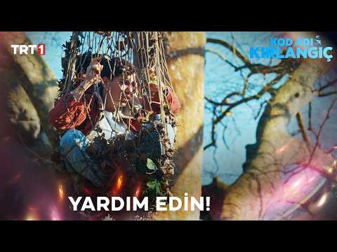 Şahin Ormanda Tuzağa Düşürüldü - Kod Adı Kırlangıç 81.Bölüm