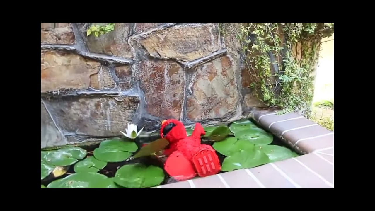 Elmo falling to the water and died NOT FOR KIDS - YouTube