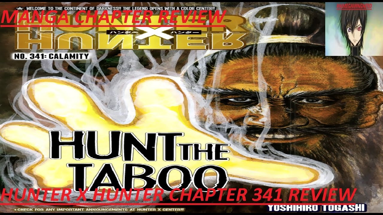 Hunter x Hunterハンター×ハンター Chapter 341 Review: After 2 Years the Dark ...