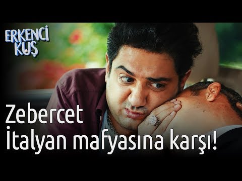 Erkenci Kuş | Zebercet İtalyan Mafyasına Karşı!