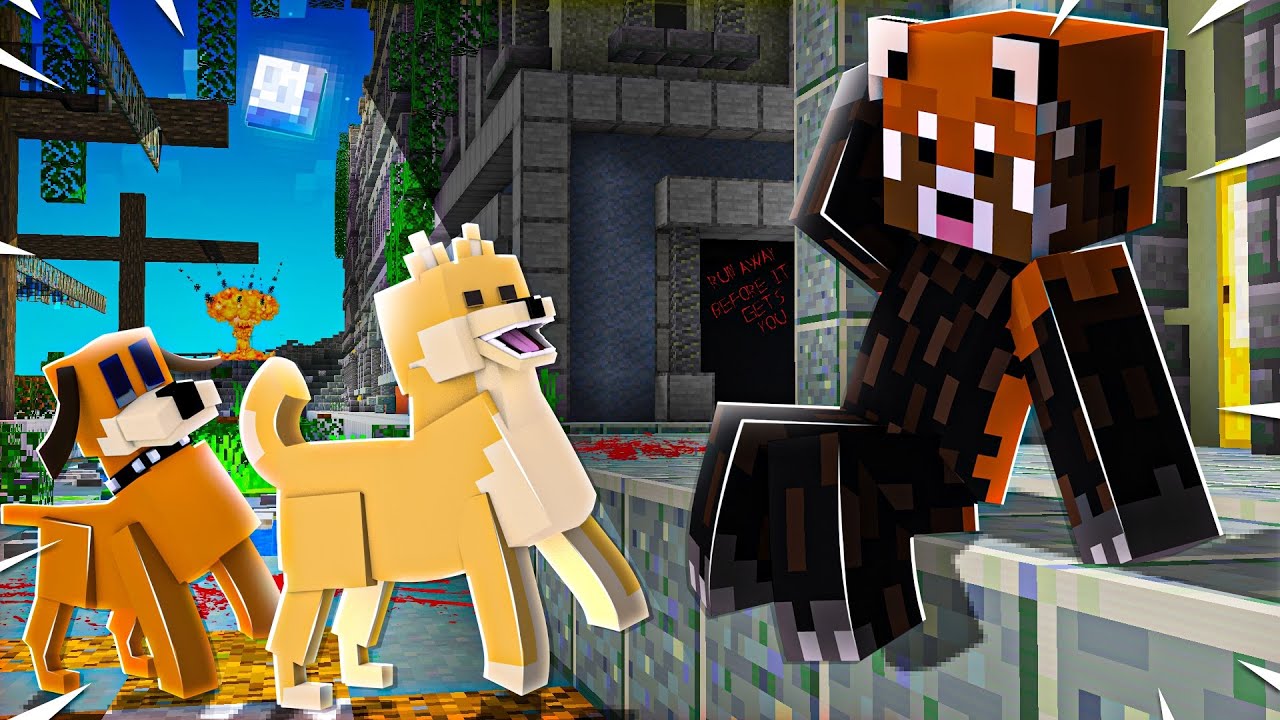 AM ADOPTAT 5 CAINI CU SUPER PUTERI IN MINECRAFT - YouTube