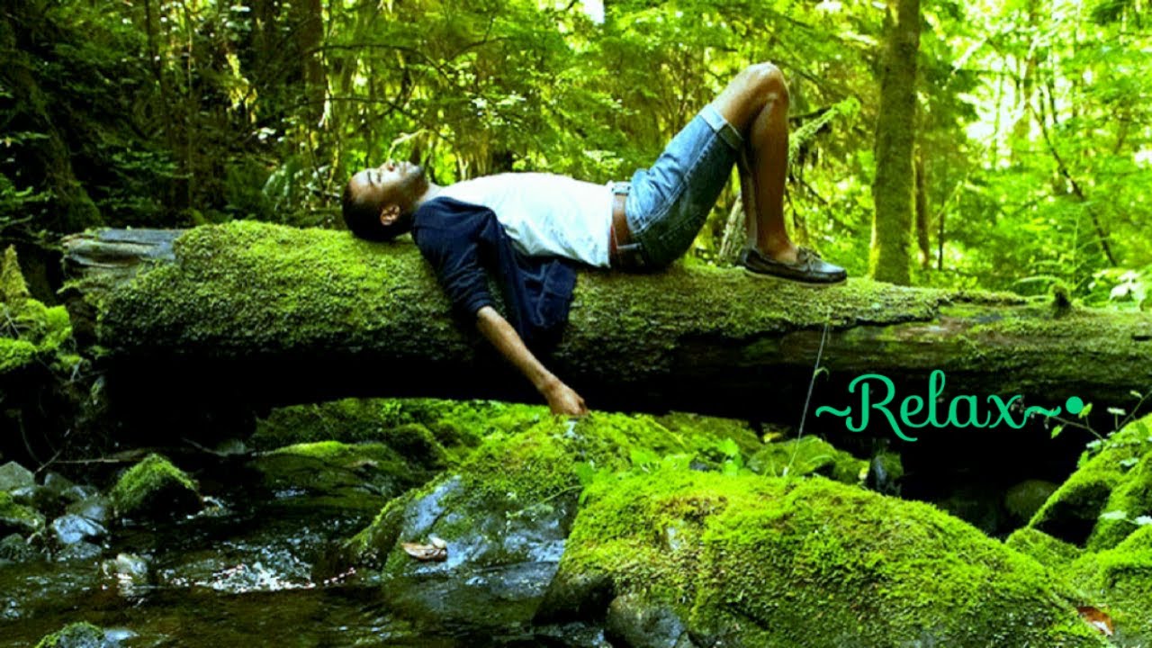 Relaxing and cool videos with calm music ever - YouTube