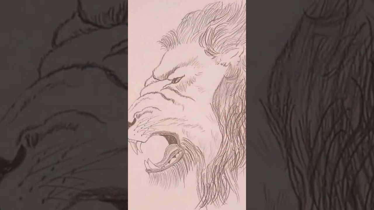 Lion Drawing Easy - Kolay Aslan Çizimi - YouTube