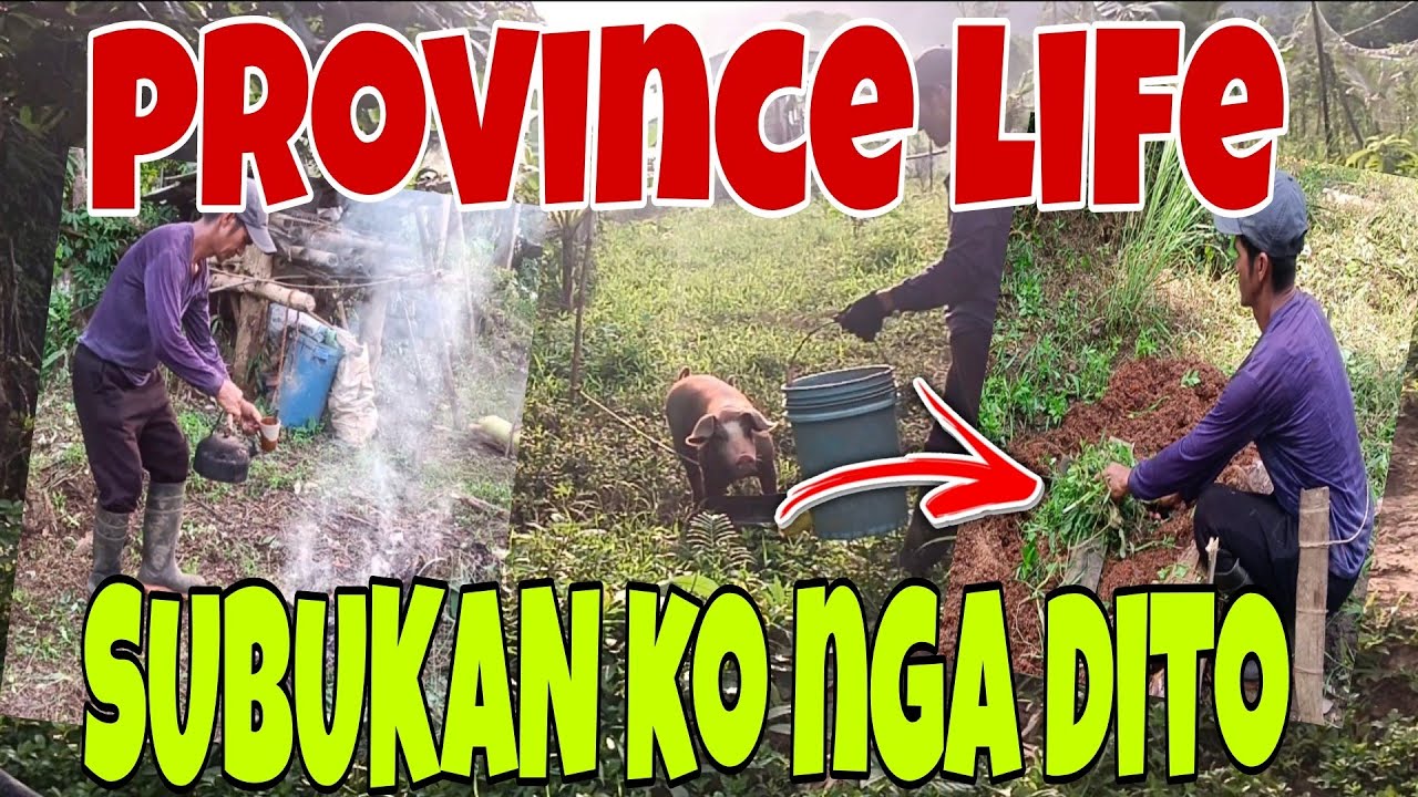 Paano nga Gumawa NG Compost,Mga Bagay Sa Paggawa NG compost/Buhay Sa ...