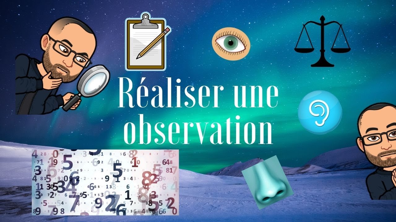 Fiches outils #1 : Réaliser une observation - YouTube