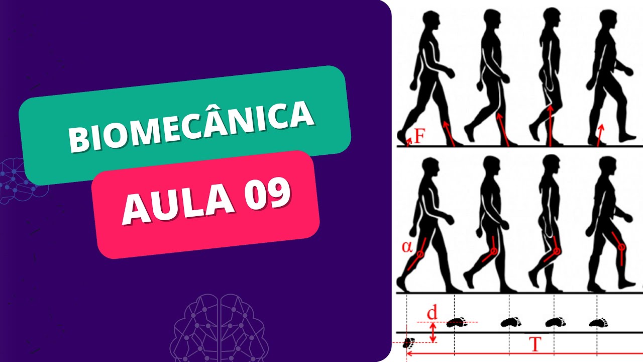 MINI CURSO DE BIOMECÂNICA - Aula 09 - MARCHA (parte 2) - YouTube