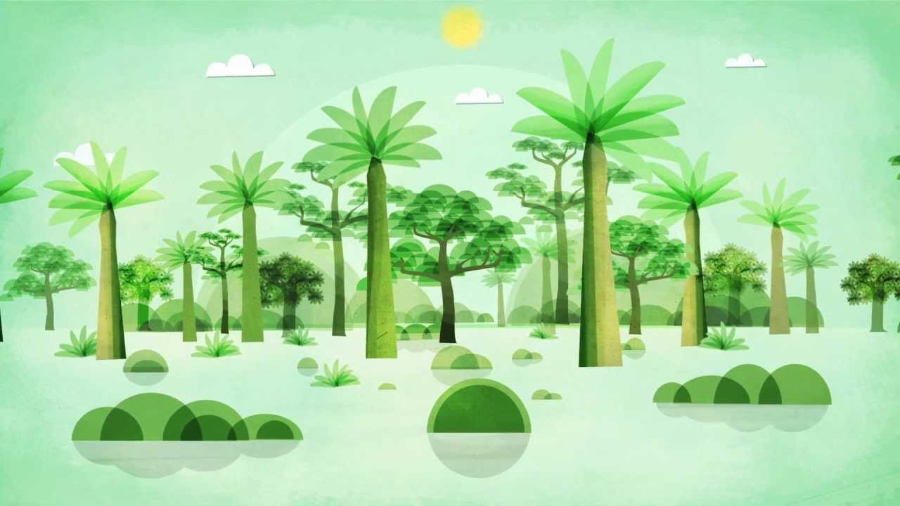 'Dr. Bronner's Fair Trade Palm Oil: Animated' and a Crowdfunding Appeal ...
