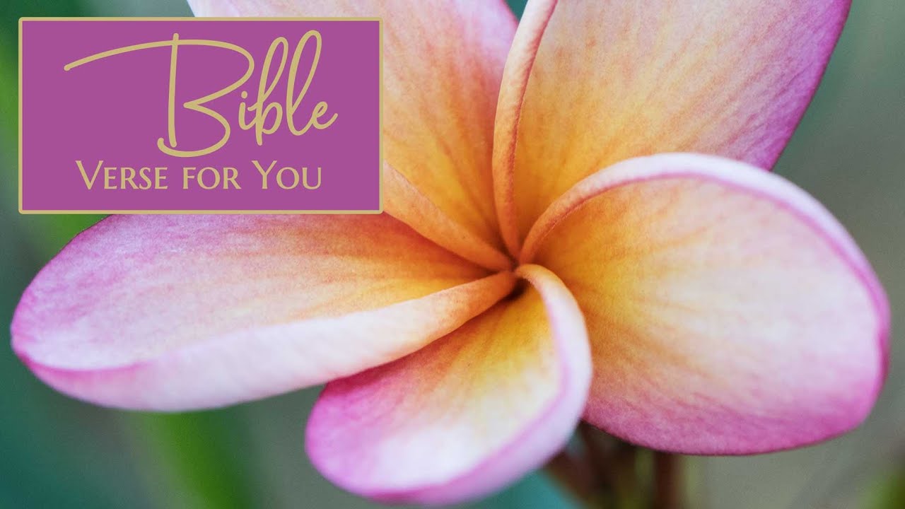 Mourning into Dancing | Bible Verse for You | Psalm 30:11 | Daily ...