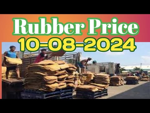 Today Rubber Price inTripura 10-08-2024/Rubber Rate Kokborok Video ...