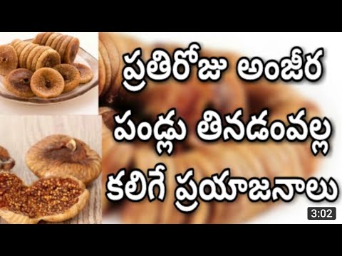 అంజీర పండ్లు తింటే అనేక లాభాలు || Benefits Of Anjira Fruits || Dry ...