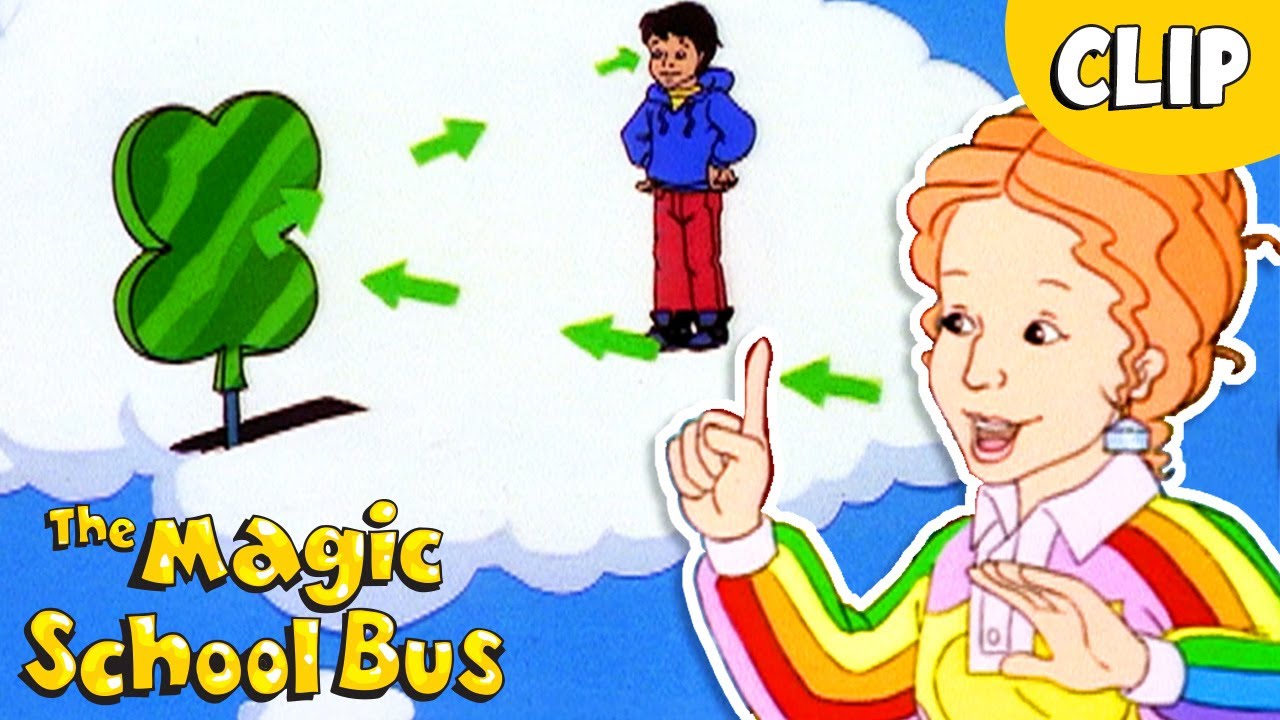 How We See Different Colors | Wavelengths of Light | Science for Kids ...