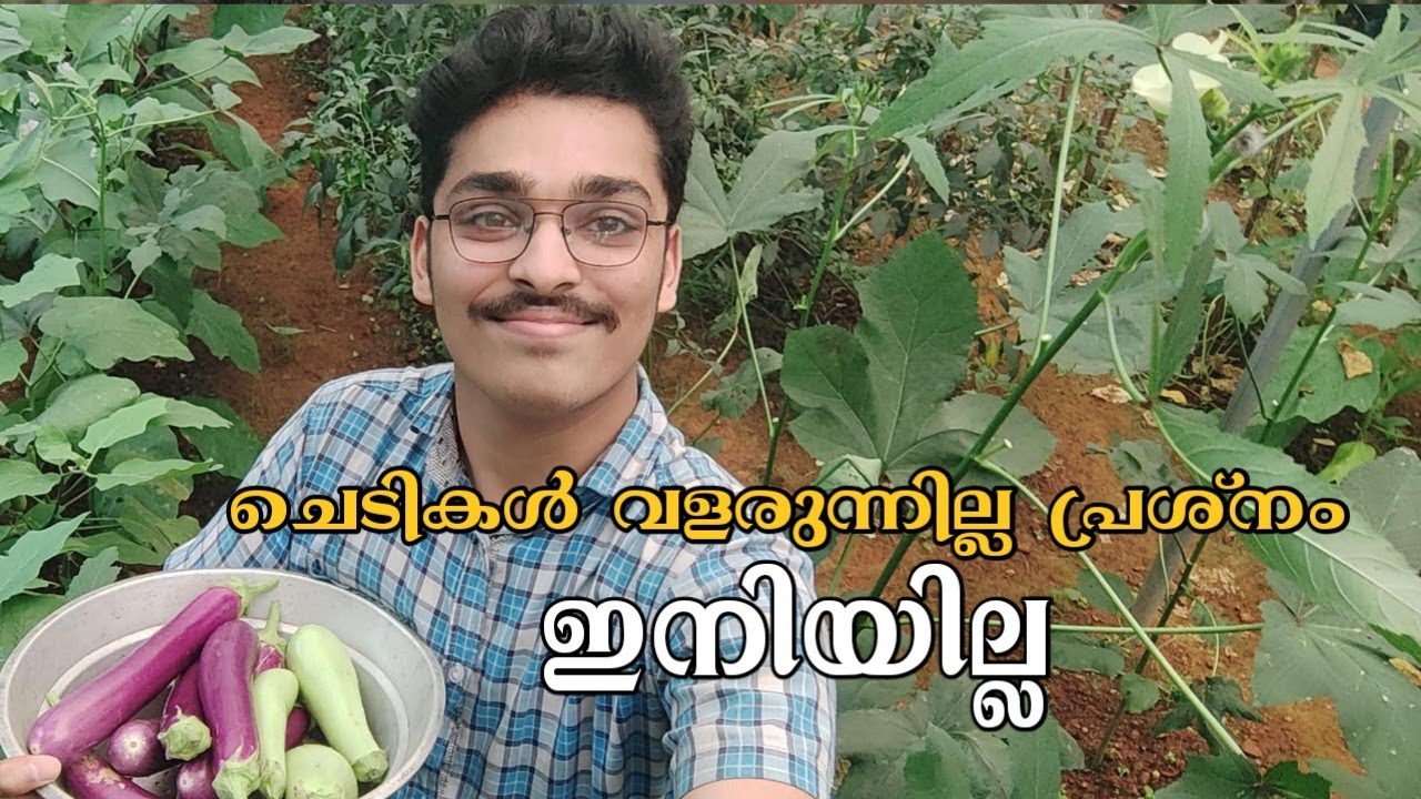 ചെടികൾ നന്നായി വളരാൻ #kitchenmystery #DheKrishi - YouTube