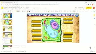 Parts Of A Plant Cell: Drag & Drop Worksheet: Google Slides.Distance Learning
