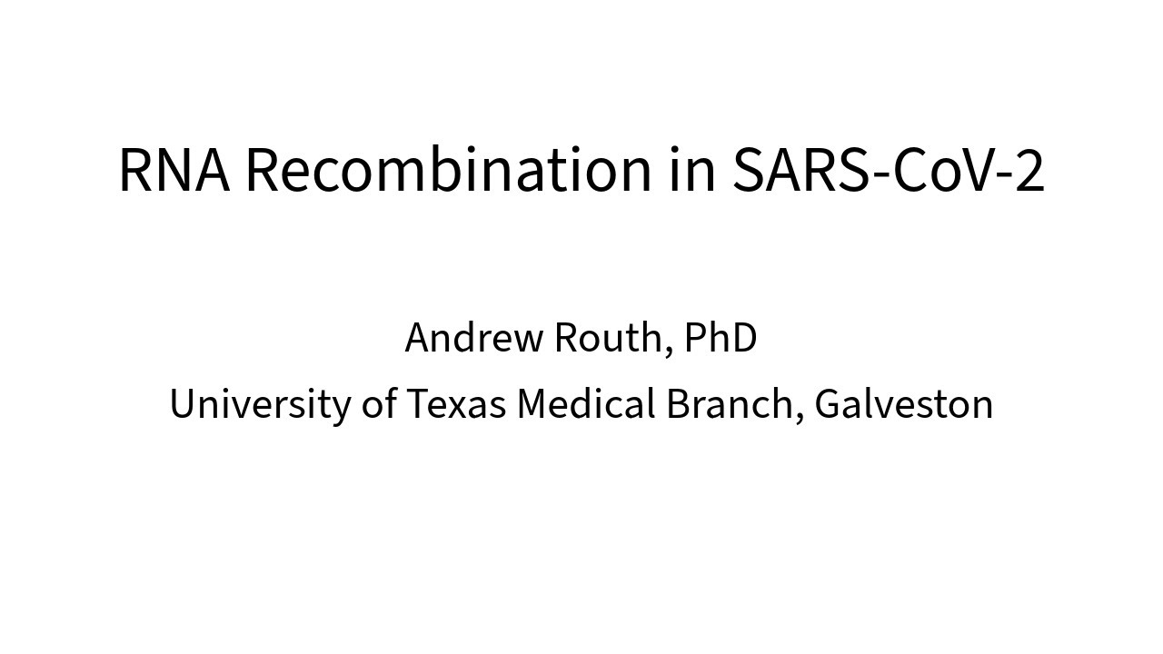 Keck Seminar, Andrew Routh, PhD - YouTube