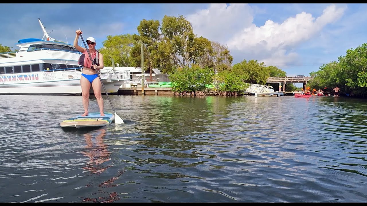 Florida Keys [Key Largo] Kayaking & Paddleboarding & Manatees @John ...