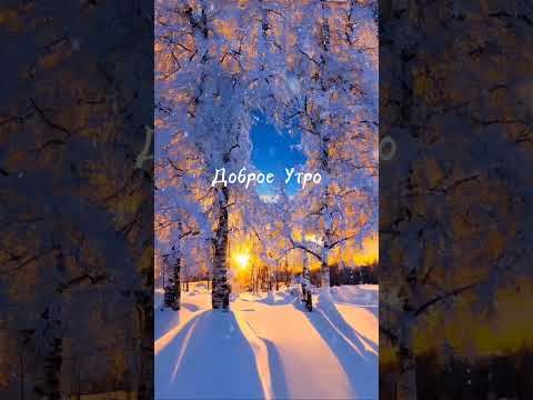 Доброе утро