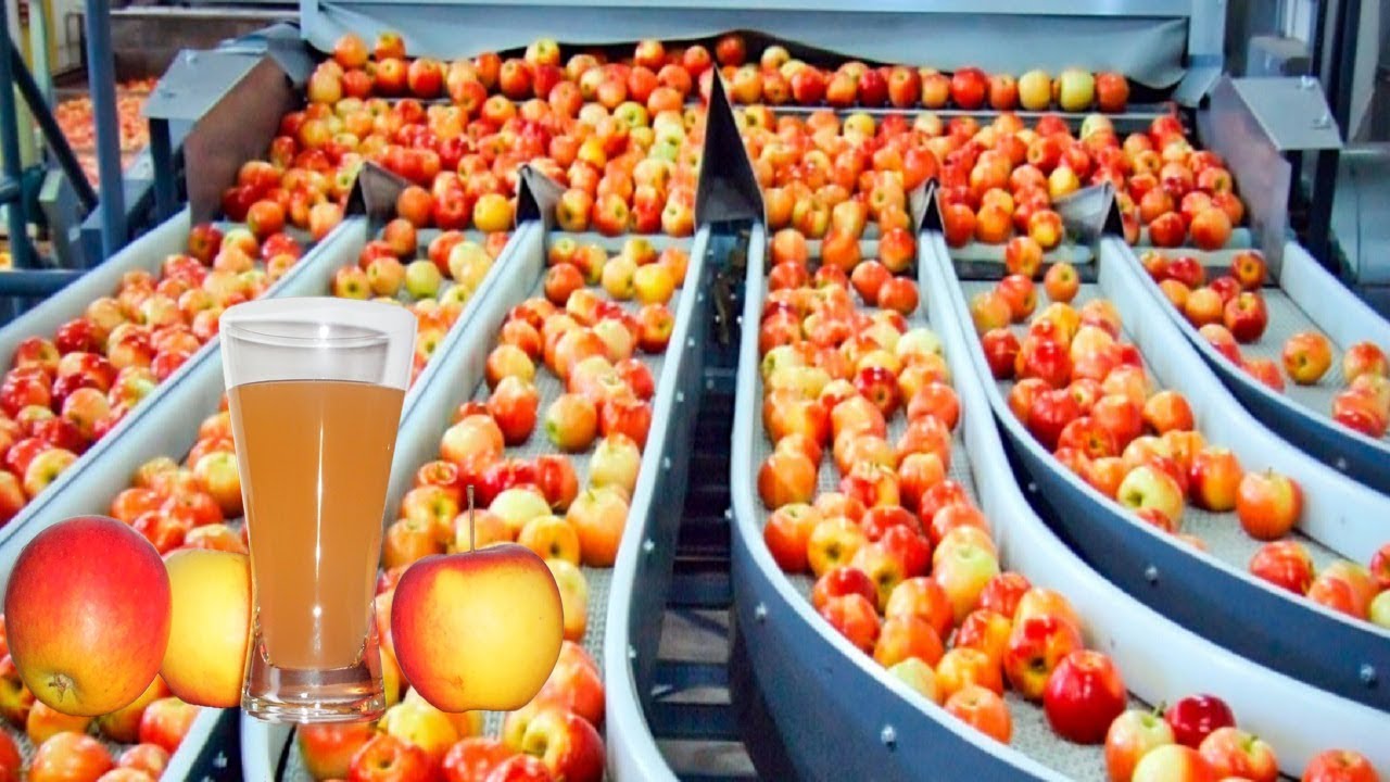 How to make Apple_Juice modern_technology_Modern_Fruit_Juice Production ...