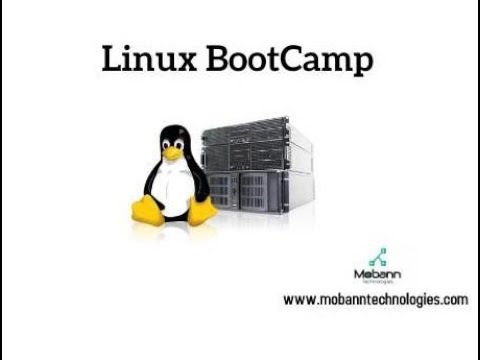 Group 1 Linux BootCamp - Lesson 2 - YouTube
