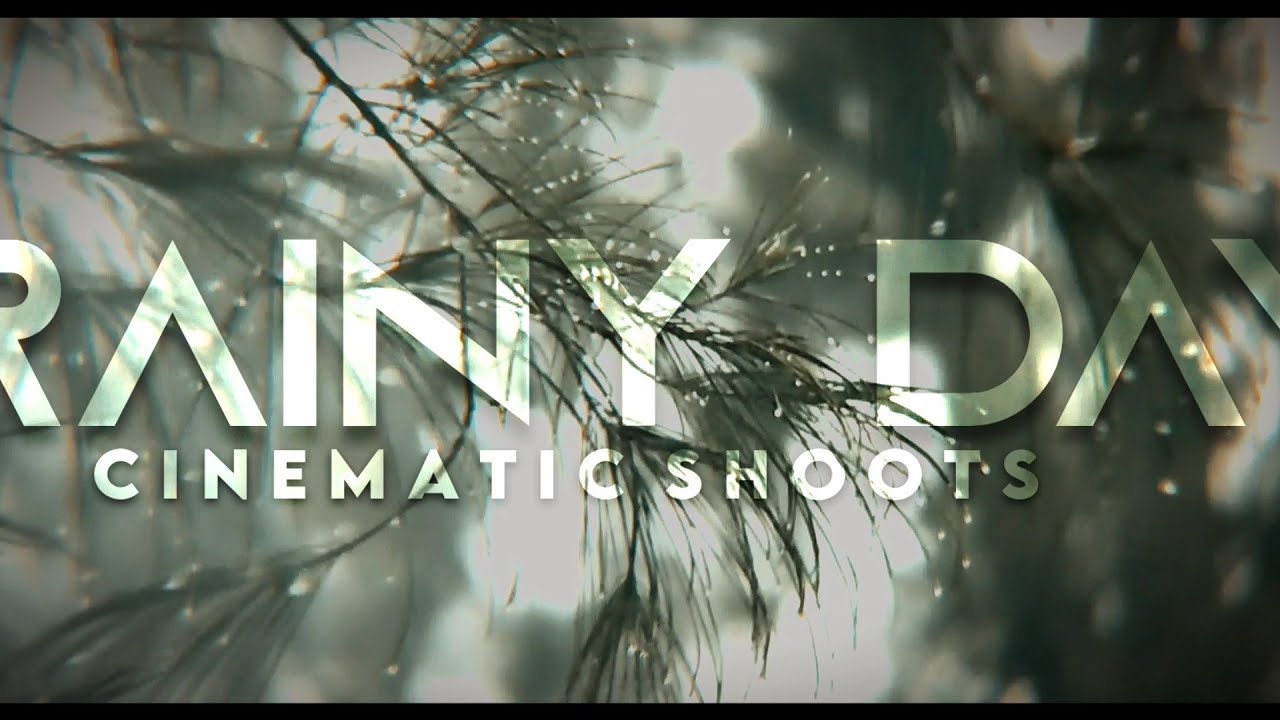 RAINY DAY | Cinematic short film | Rainy Day Nature Video 2021 - YouTube