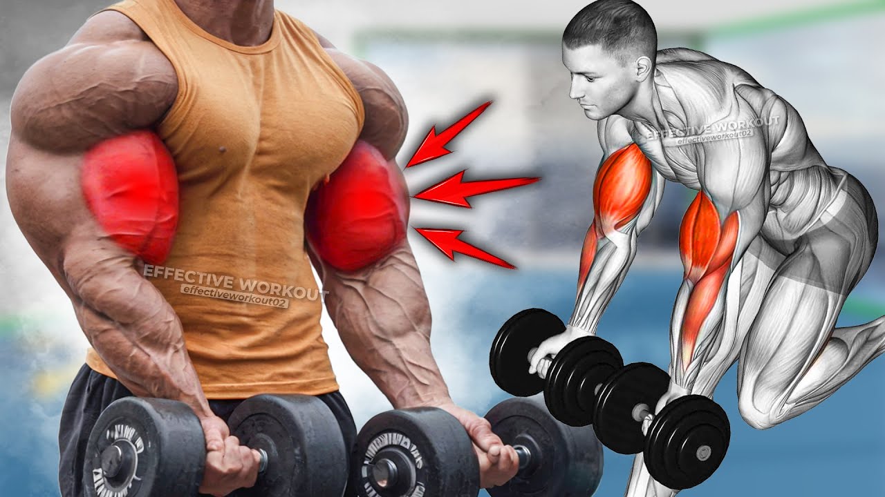THE FIVE BEST BICEPS EXERCISES FOR MASS - YouTube
