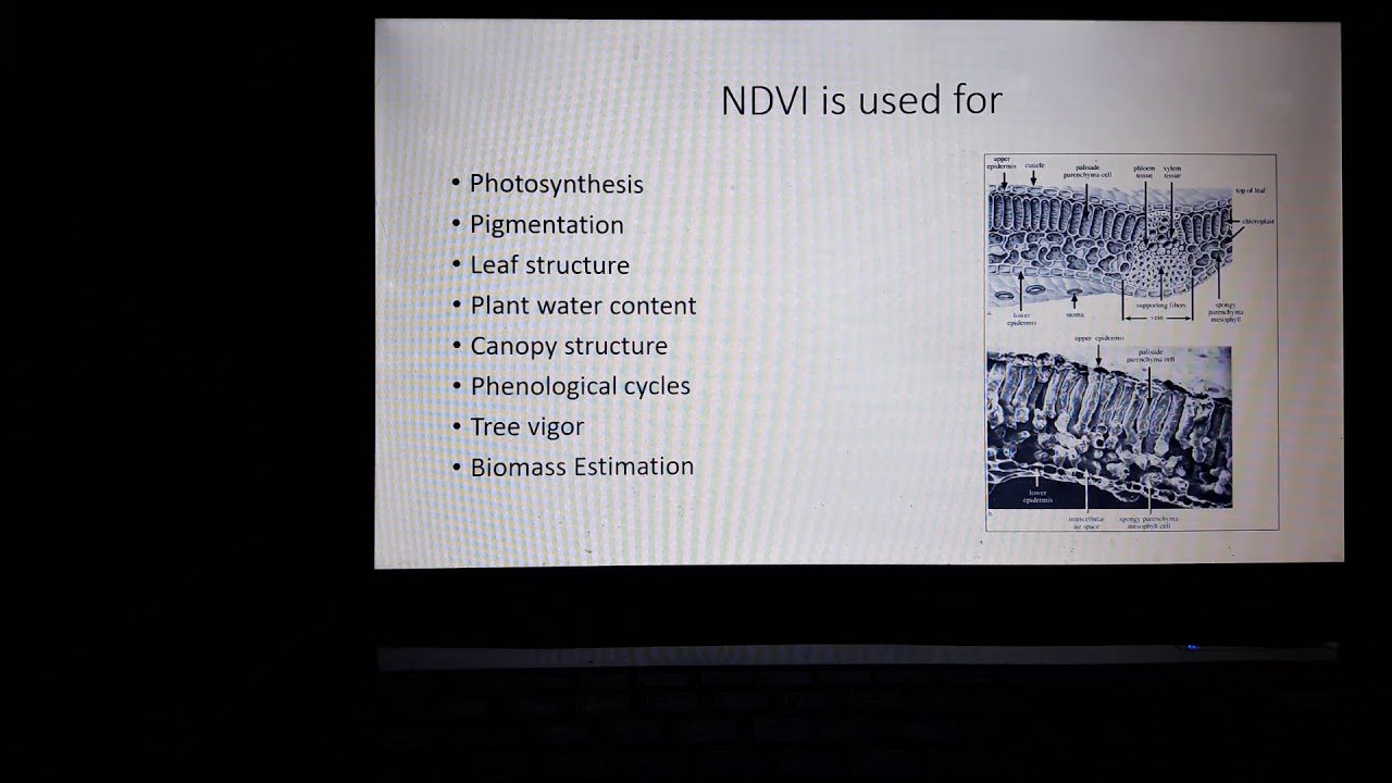 Understand NDVI - YouTube