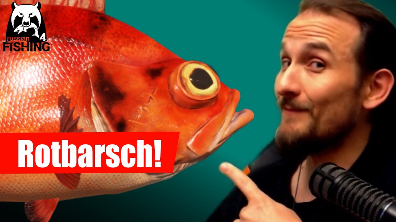 Russian Fishing 4 - Nordmeer - Rotbarsch! ...geht gut ab =) - YouTube