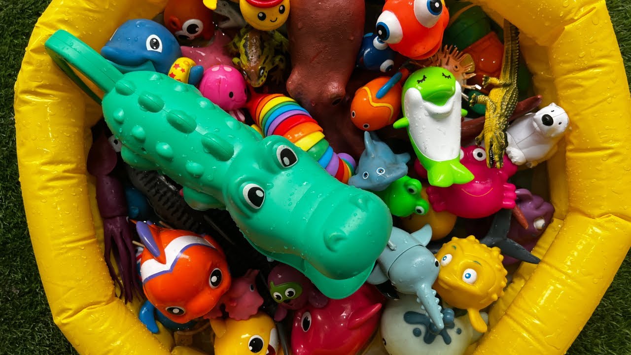 Learn Sea Animal Names and Facts for Kids | Top Ocean Animal Toys for ...