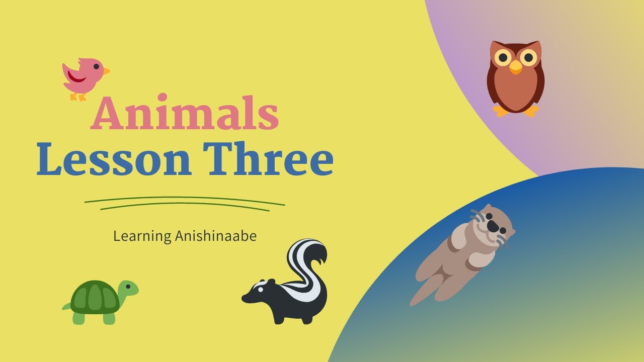 Learning Anishinaabe - Animals: Lesson Three - YouTube