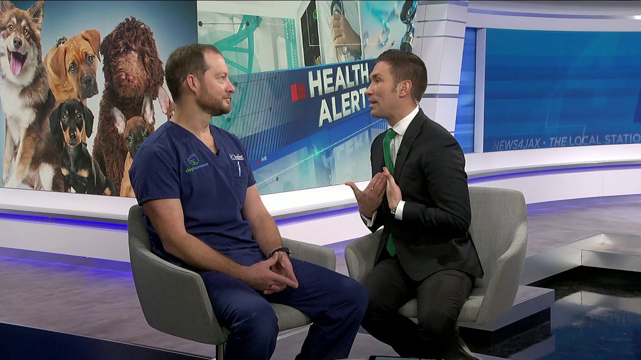 Dr. Christian Broadhurst on Puppy Sickness - YouTube