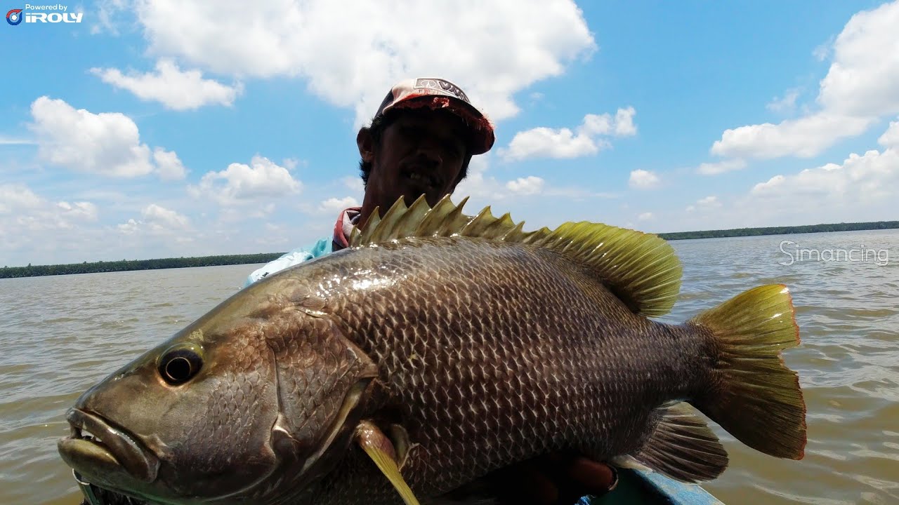 MANCING IKAN KAKAP DI MUARA SUNGAI BESAR - YouTube