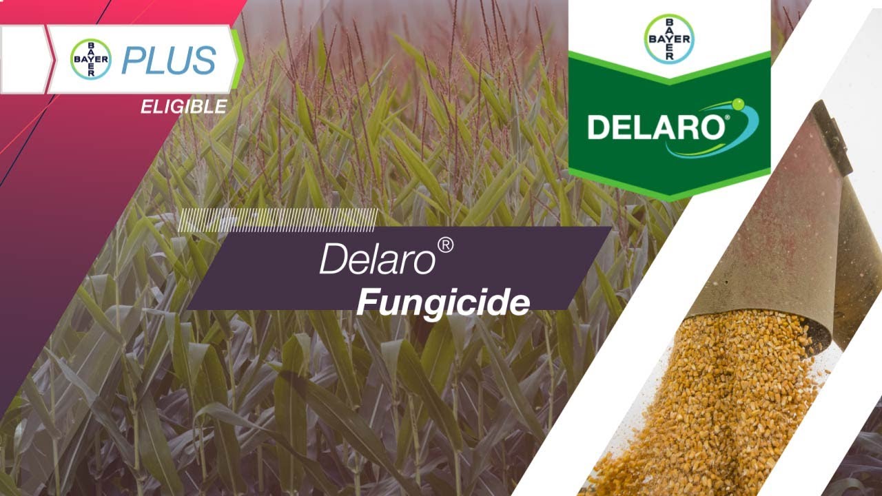 Delaro® Fungicide - YouTube