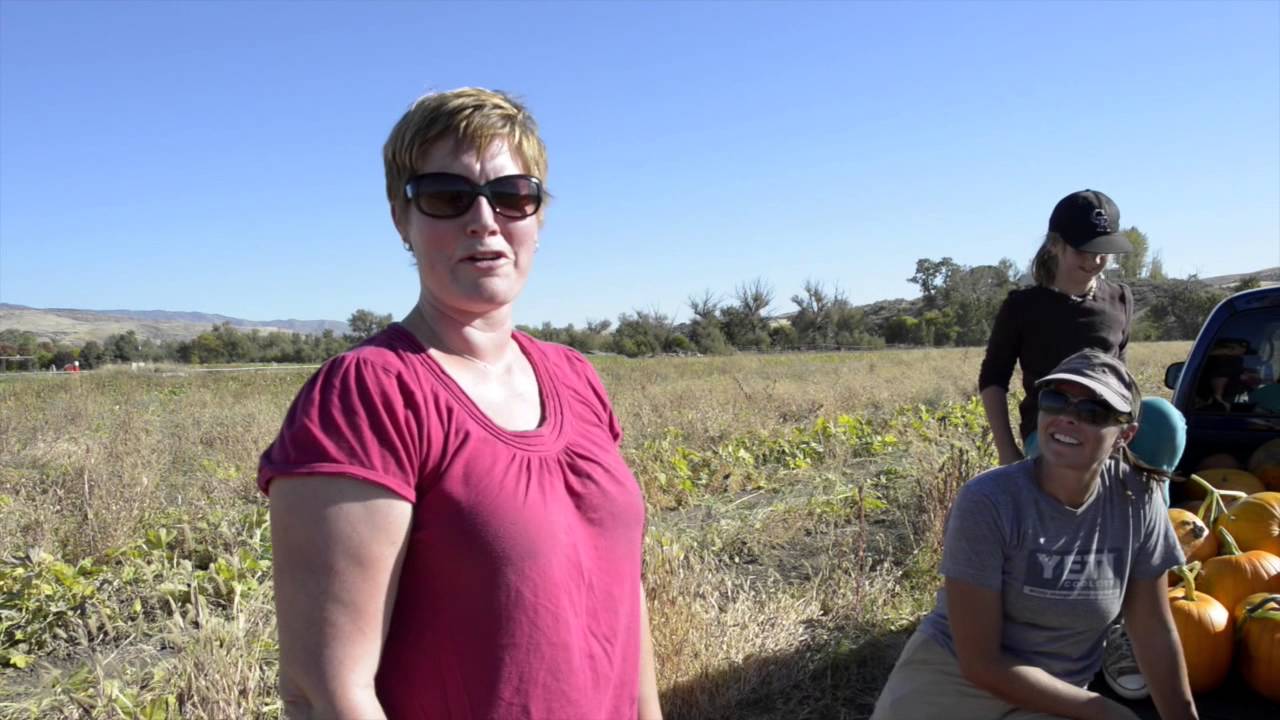 Pumpkins to the schools fundraiser Peaceful Belly Farm 2015 - YouTube
