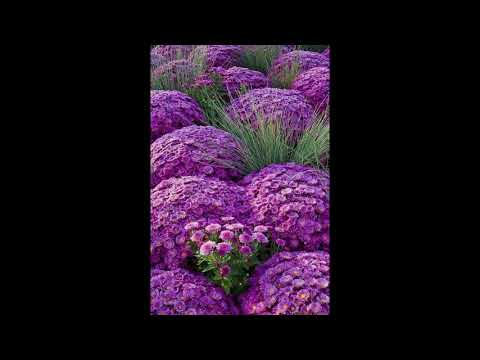 EN SEVDİYİM İLAHİLER 5.KISIM