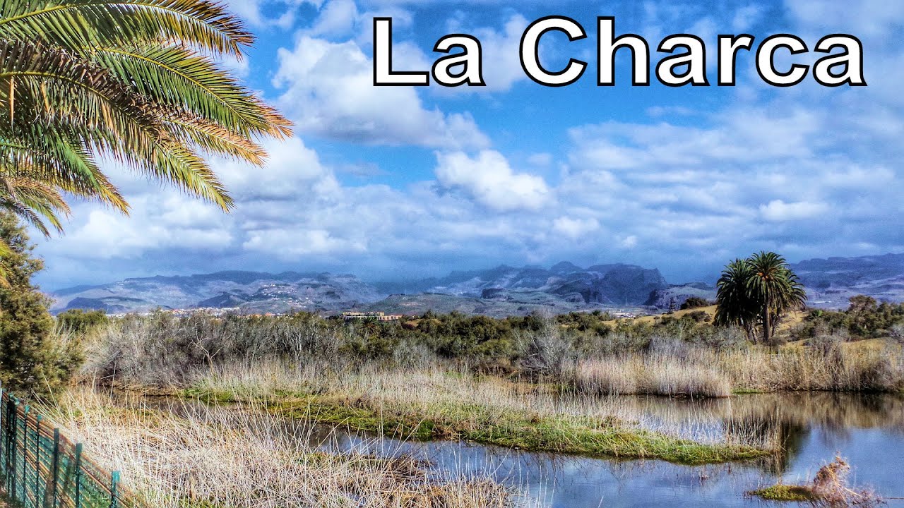 La Charca - Maspalomas, Gran Canaria | RotWo - YouTube