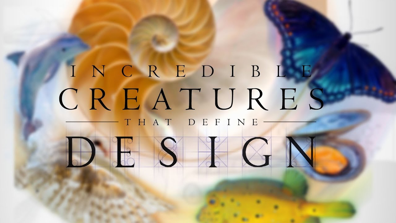 Incredible Creatures That Define Design | Documentary | Educational ...